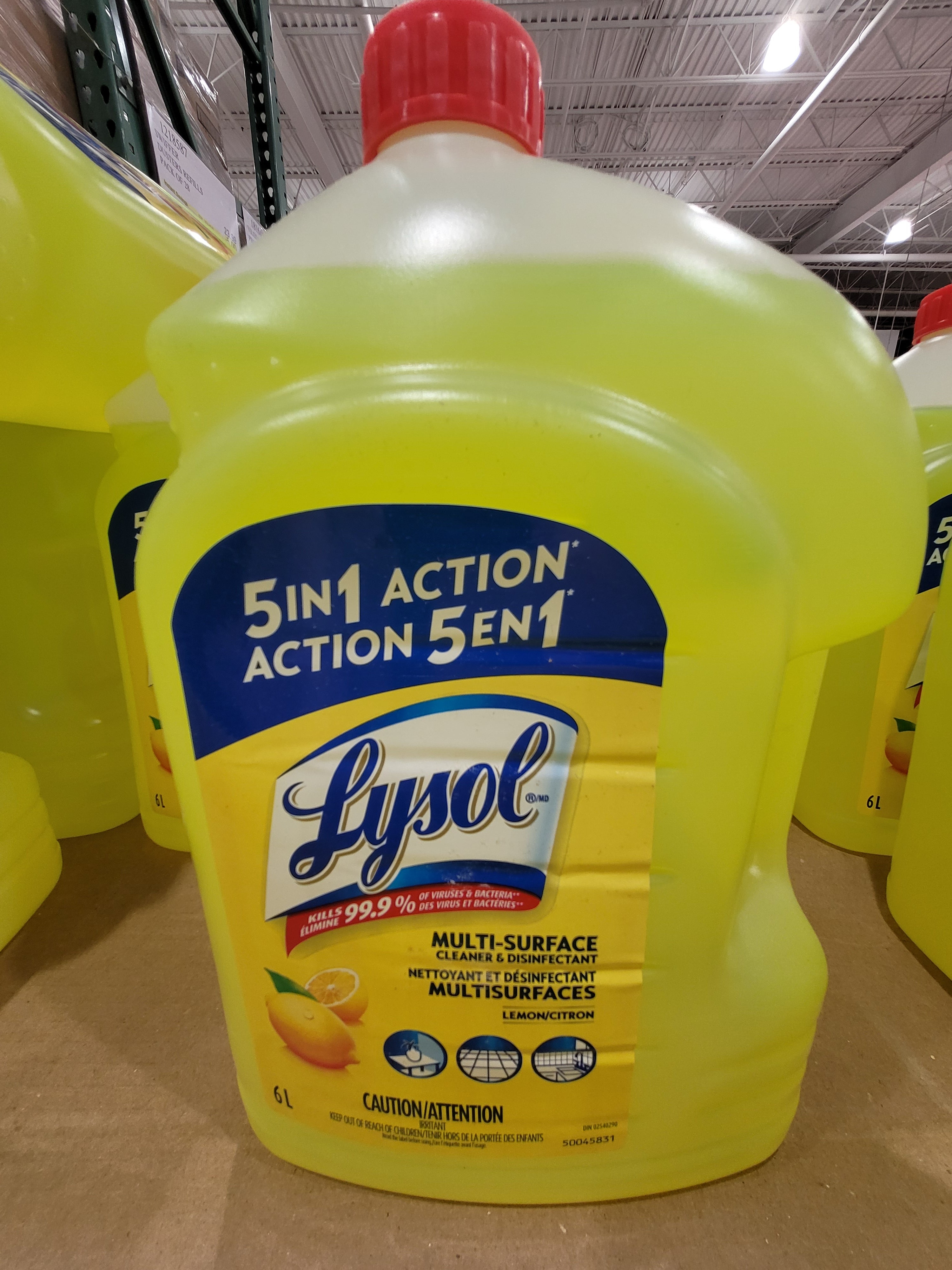 Lysol Multi-Purpose Cleaner - 1 x 6 Kilos Shipped to Nunavut – The ...