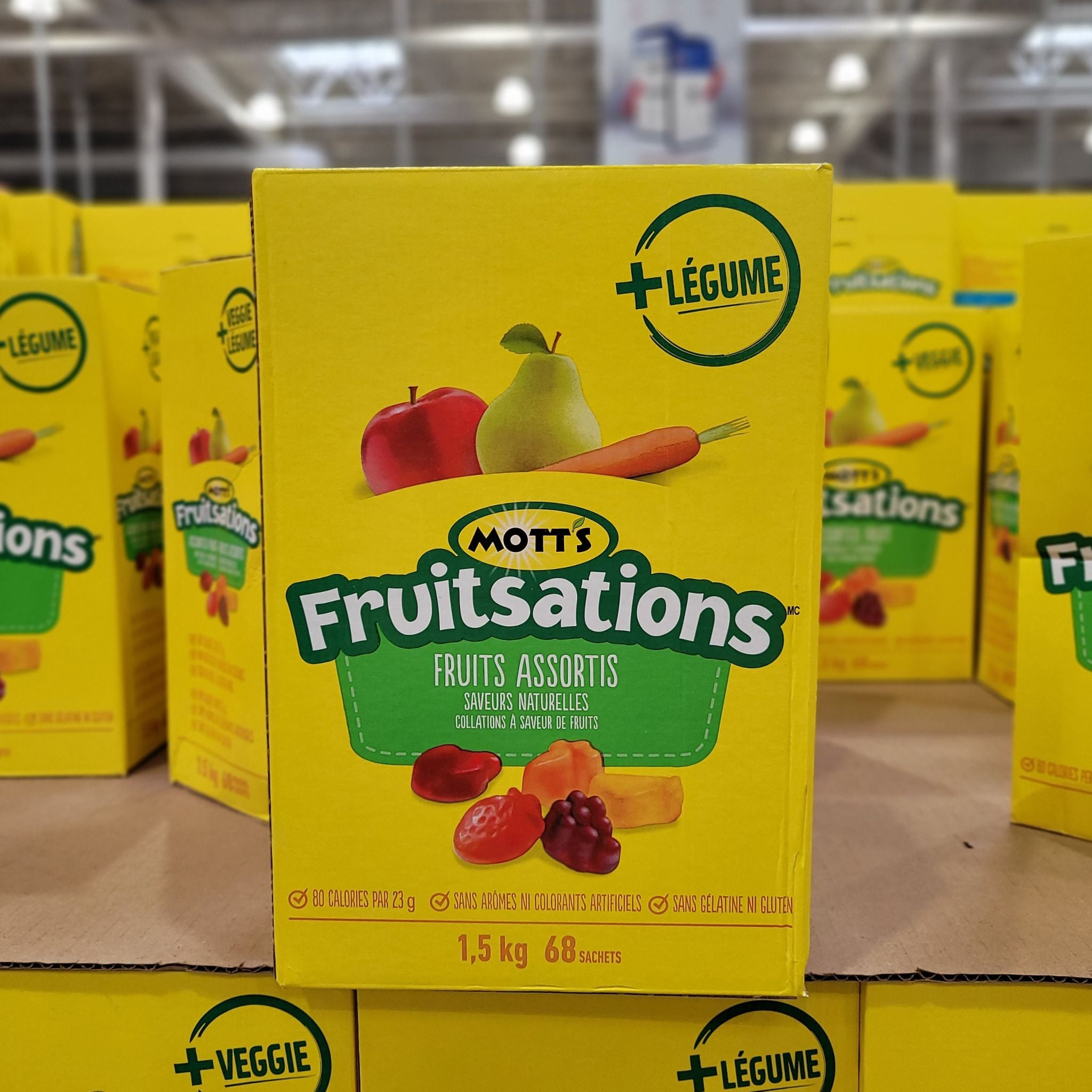 Mott's Fruitsations - 68 x 22 Grams Shipped to Nunavut – The Northern ...
