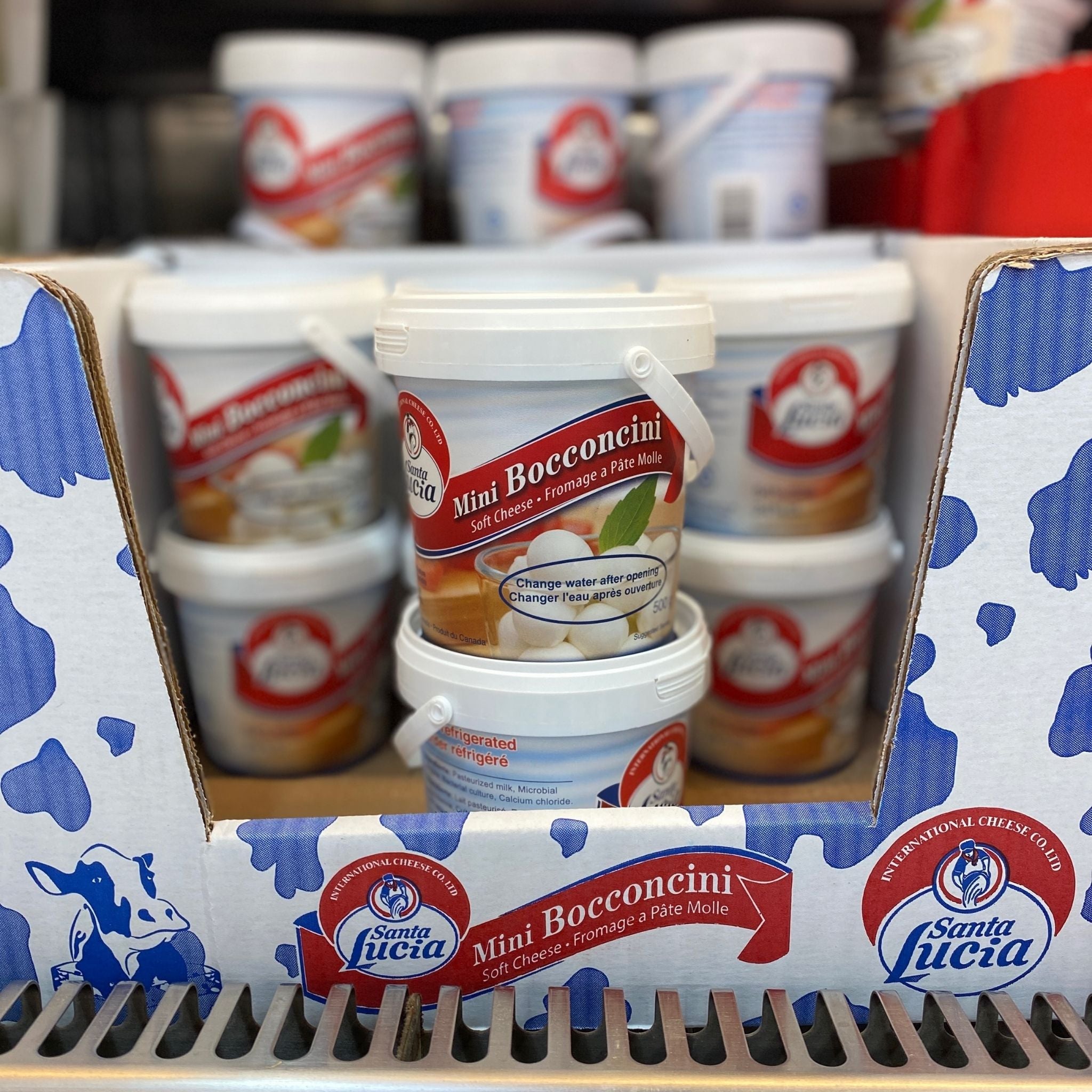 Santa Lucia Mini Bocconcini Cheese - 1 x 500 Grams Shipped to Nunavut ...