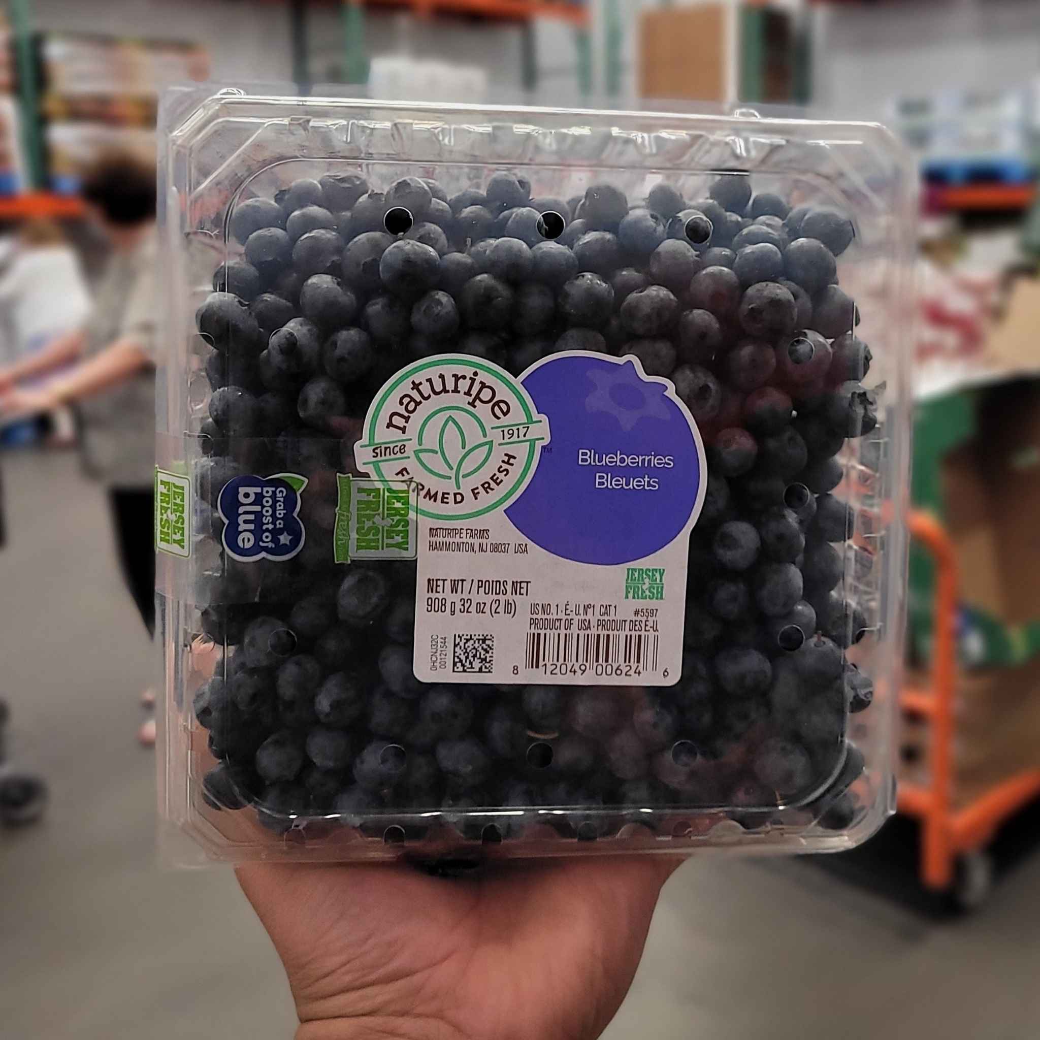 Blueberries (Ship at your own risk) *511g - 1 x 510 Grams Shipped to ...
